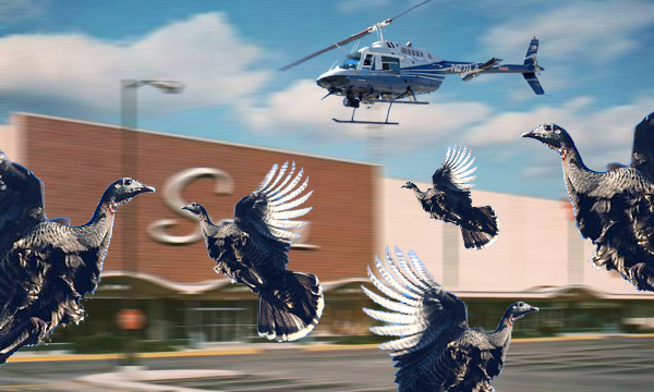 The WKRP Thanksgiving Turkey Drop Stunt – Old Time Radio Style ...